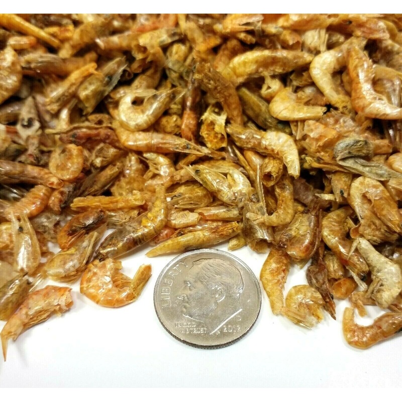 1/2 Pound - Freshwater Shrimp Freeze Dried Bulk Natural Protein- Free ...